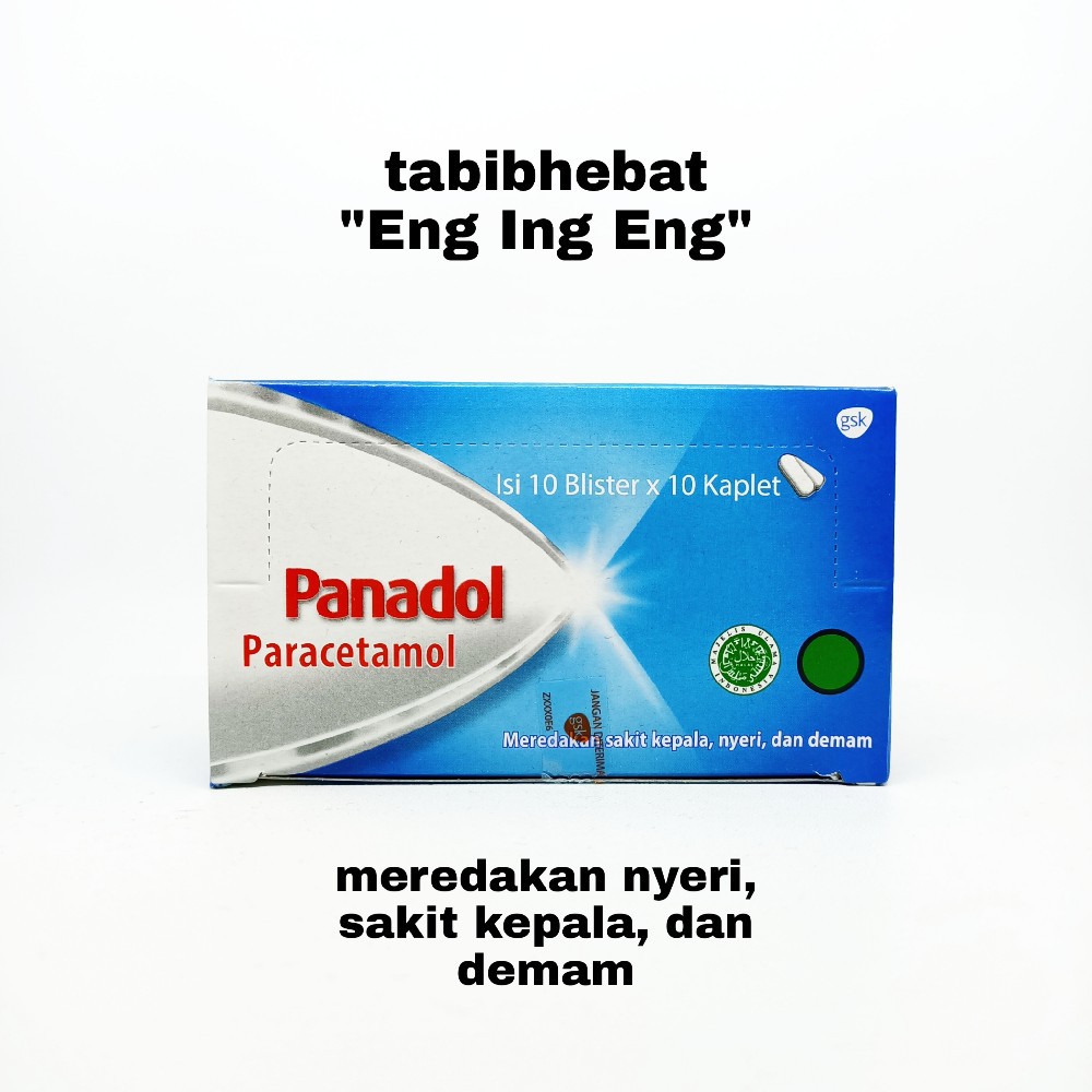Jual Panadol BIRU (BIASA) Paracetamol Box | Shopee Indonesia