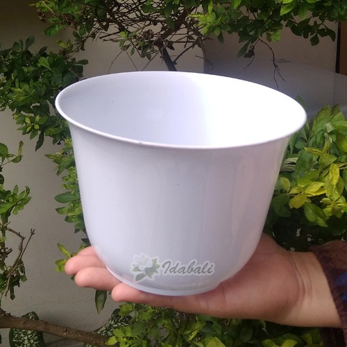 Jual POT PUTIH RGU17 BUNGA TANAMAN | Shopee Indonesia