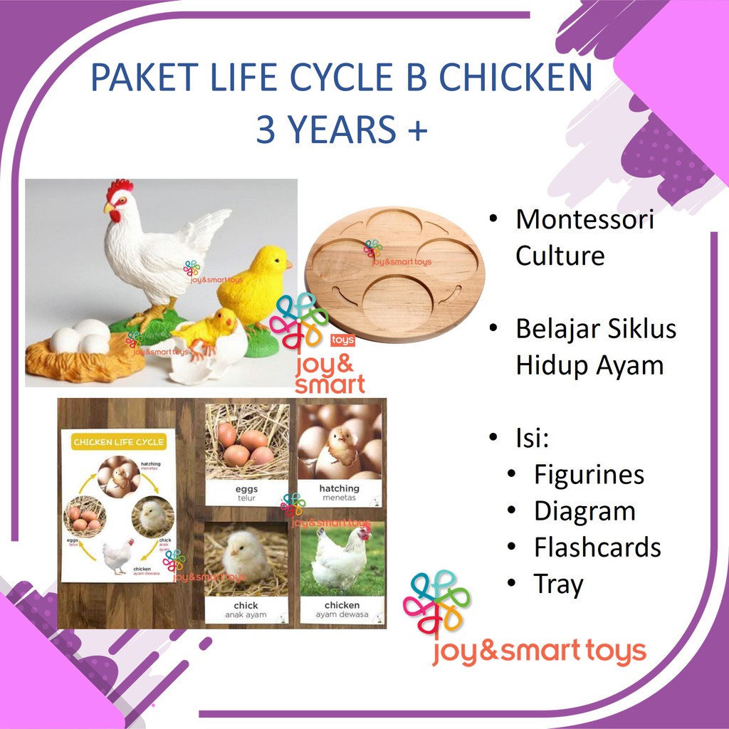 Jual JOY SMART TOYS MONTESSORI LIFE CYCLE B SEMUT PENYU NYAMUK AYAM ...