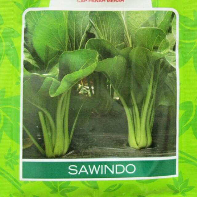 Jual Benih Sawi Manis Caisim Sawindo 25 Gr | Shopee Indonesia