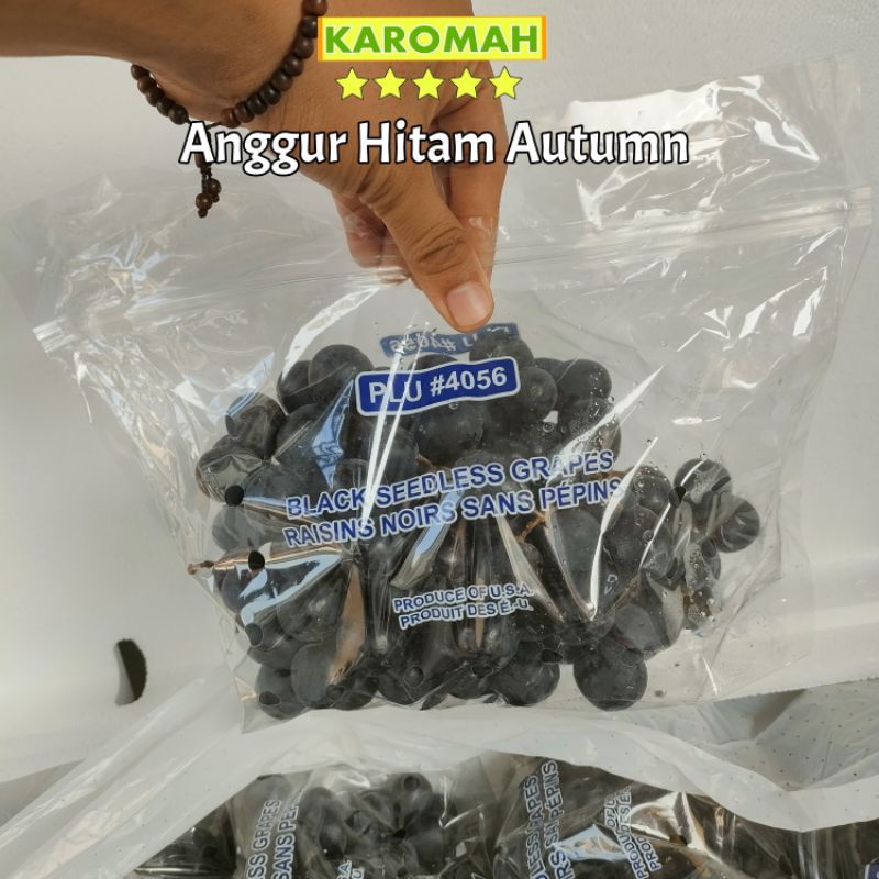 Jual anggur autum NON BIJI 500Gram fresh /buah anggur hitam /buah ...