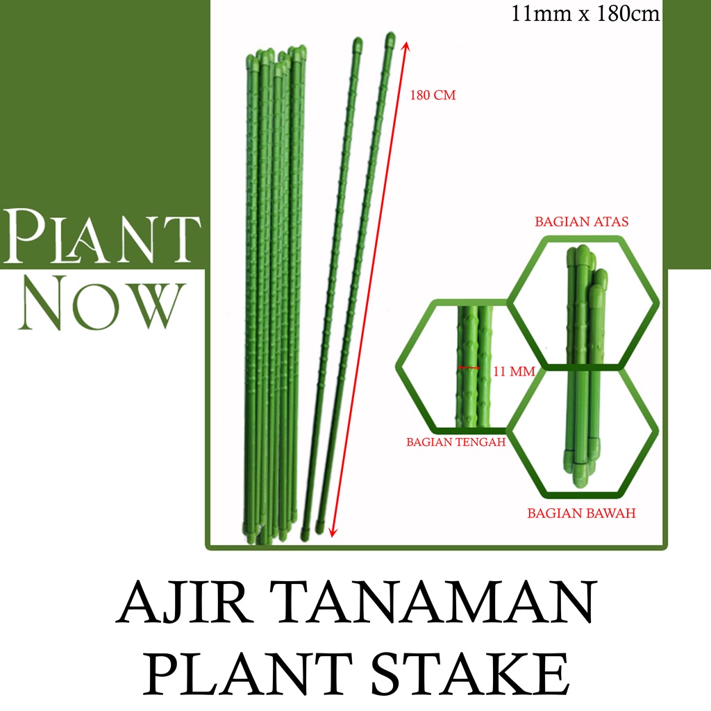 Jual Ajir Tanaman - Plant Stake - 11mm x 180cm - 1 Set 10 pcs | Shopee ...