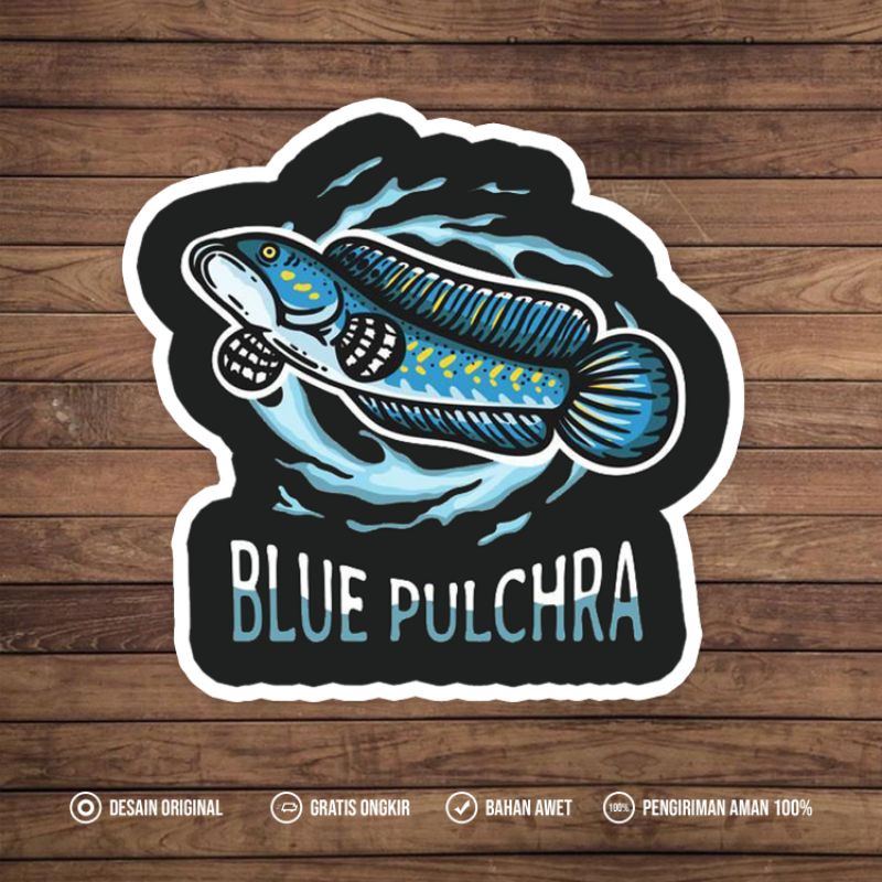 Jual STIKER CHANNA PULCHRA PULCRA LIMBATA | Shopee Indonesia