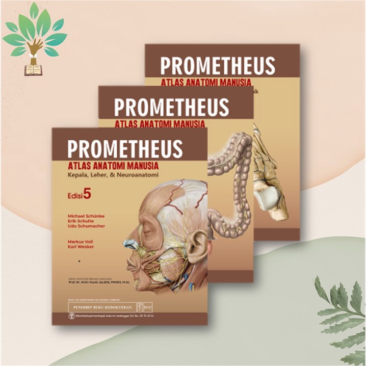 Jual [ORIGINAL] PROMETHEUS - ATLAS ANATOMI MANUSIA SET BUKU 1 , 2 , 3 ...