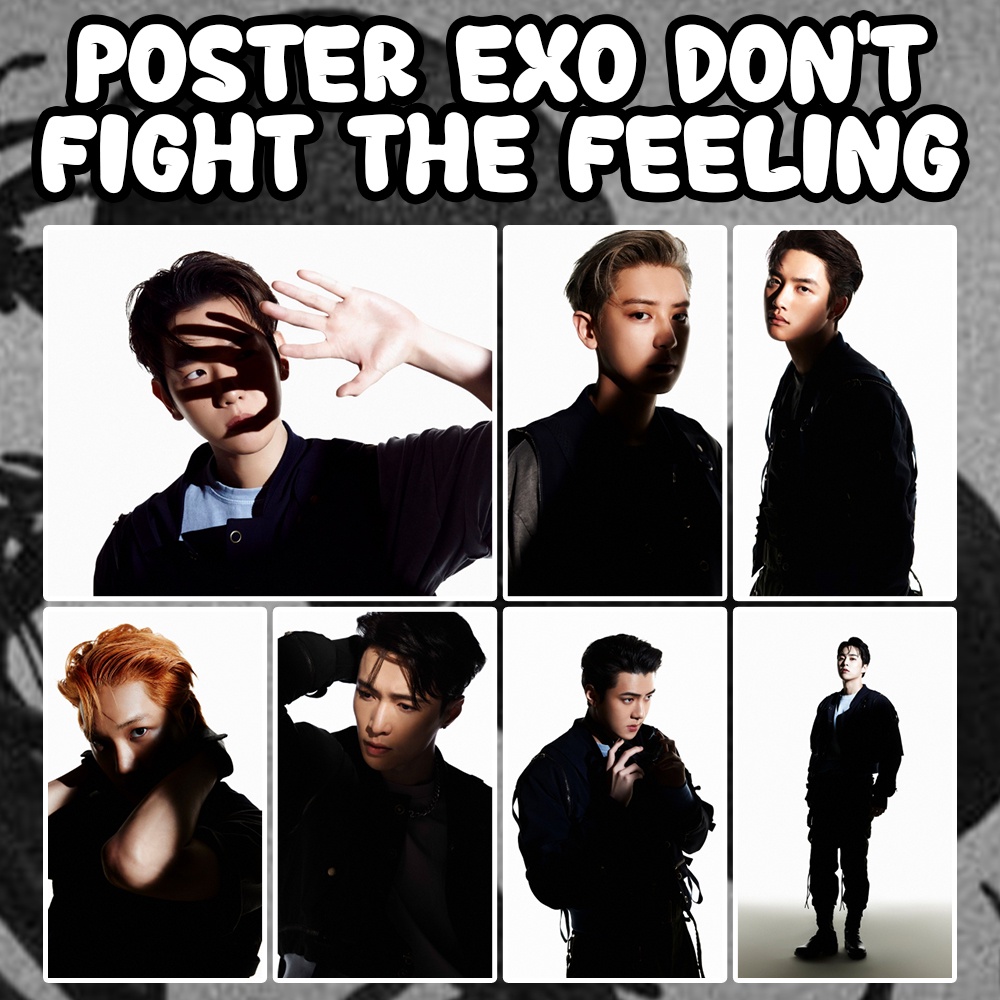 Jual Poster EXO DONT FIGHT THE FEELING - Poster Kpop A4 A5 A6 Murah ...