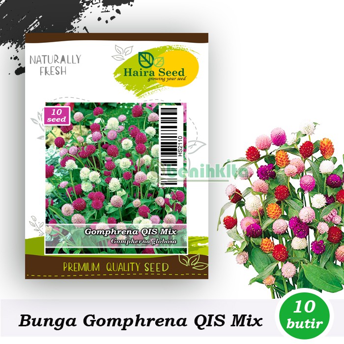 Jual Benih-Bibit Bunga Kancing/Gomphrena QIS Mix (Haira Seed) | Shopee ...