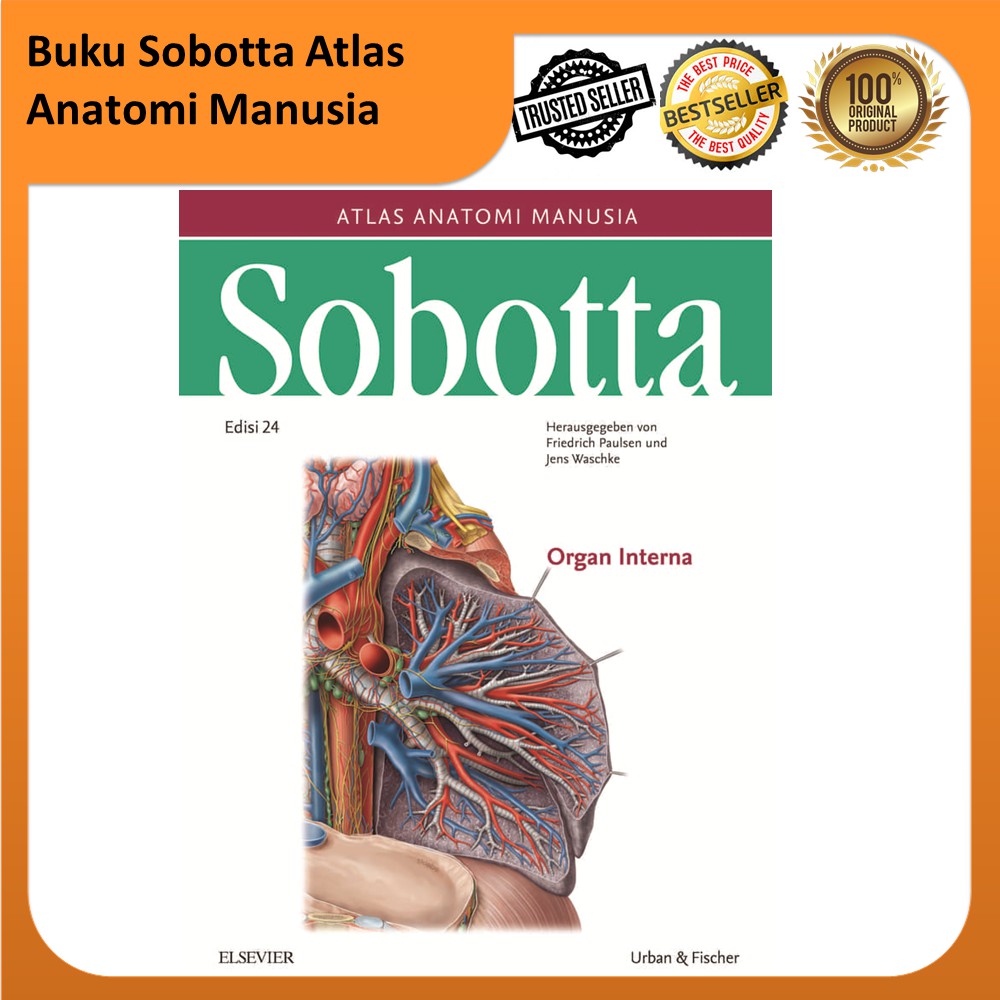 Jual Buku Sobotta Atlas Anatomi Manusia Edisi 24 ASLI ORIGINAL 100% ...
