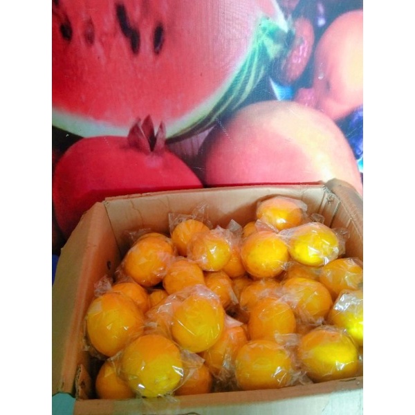 Jual JERUK LEMON IMPOR (1 PCS) | Shopee Indonesia