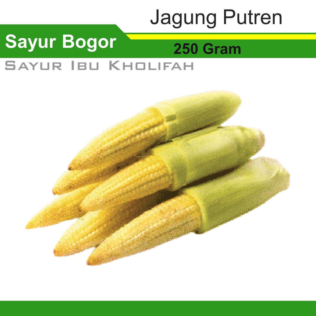 Jual Jagung Putren Capcay Acar Kecil 250 Gram Warung Sayur Sayuran ...