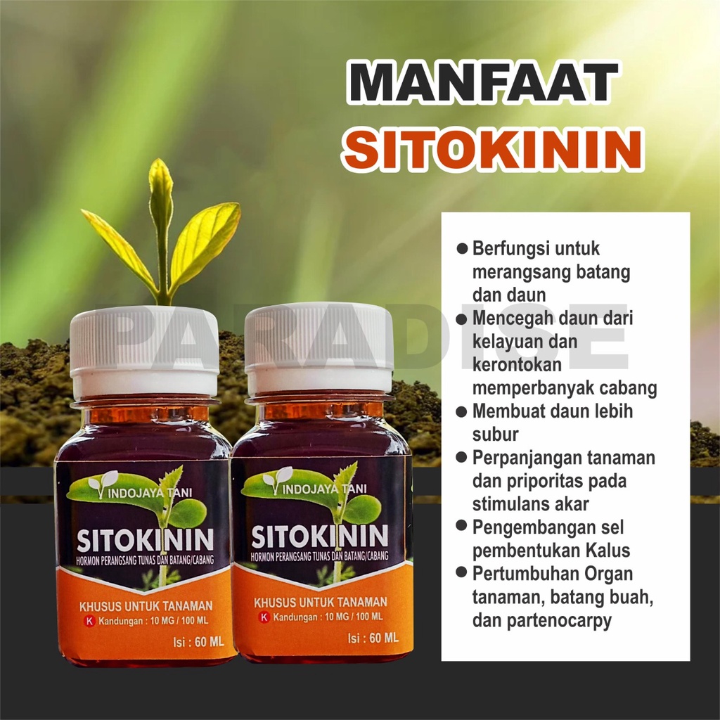 Jual Sitokinin Hormon zpt Perangsang Daun dan Batang Tanaman sitokinin ...