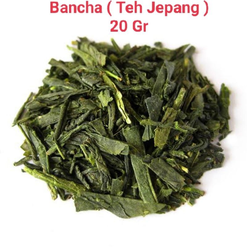 Jual [REPACK] Jaw BANCHA Ocha 20gr Japanese Green Tea / Teh Hijau ...