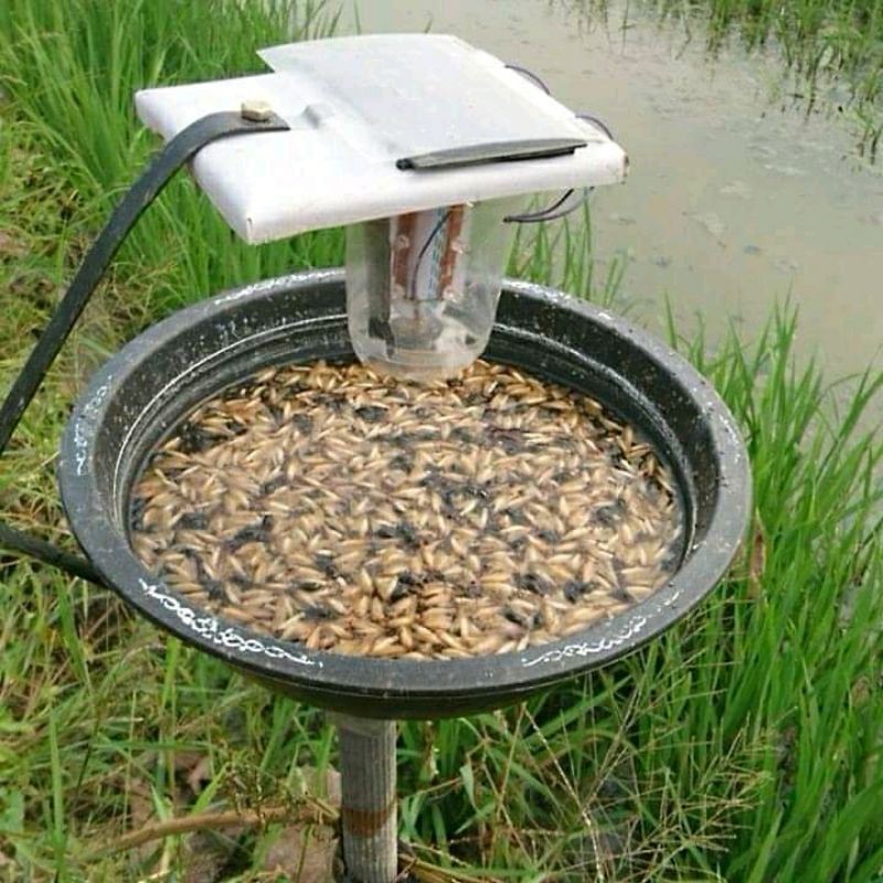 Jual lampu perangkap hama + tangkai penyangga | Shopee Indonesia