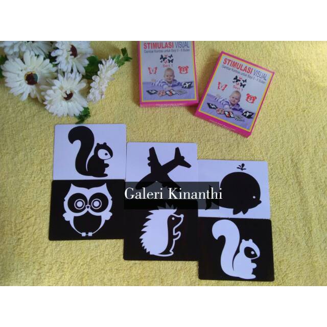 Jual FLASHCARD - KARTU PINTAR STIMULASI VISUAL BAYI 0- 6 BULAN MURAH ...