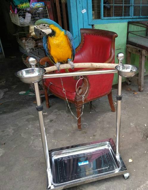 Jual Tangkringan Stainles Perch BOP Elang Burung Hantu Parrot Kakatua ...
