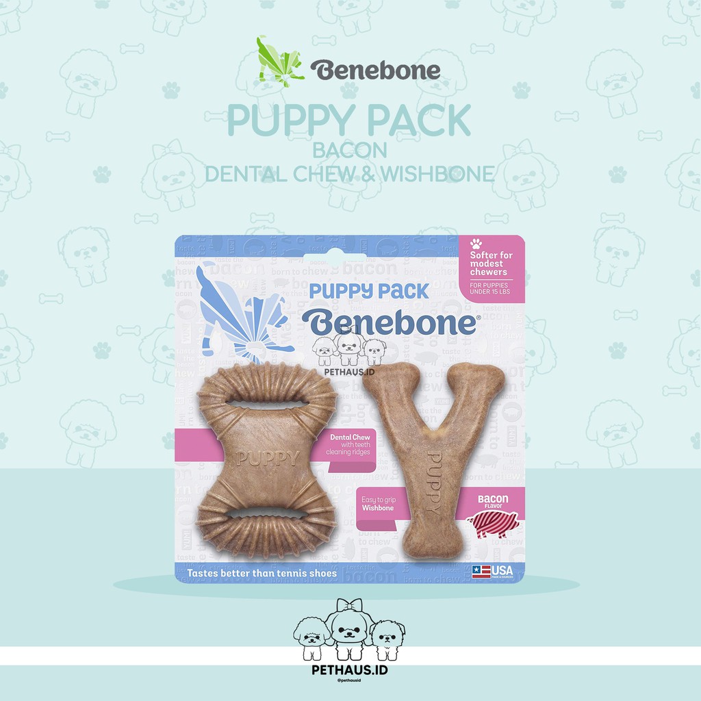 Jual BENEBONE Puppy Pack Wishbone + Dental Chew | Shopee Indonesia