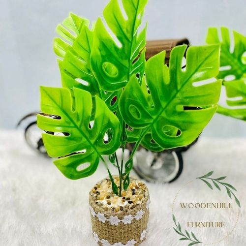 Jual FURNITURE RANGKAIAN HIASAN BUNGA MONSTERA JANDA BOLONG PLASTIK SET ...