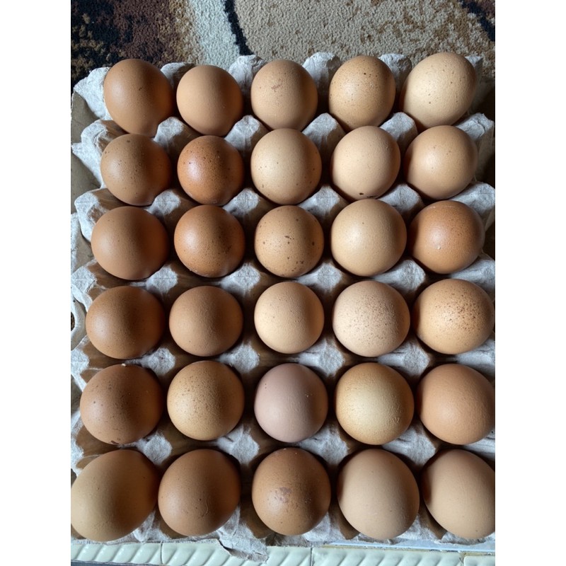 Jual Telur Ayam Negeri 1 Krat isi 30 Butir | Shopee Indonesia
