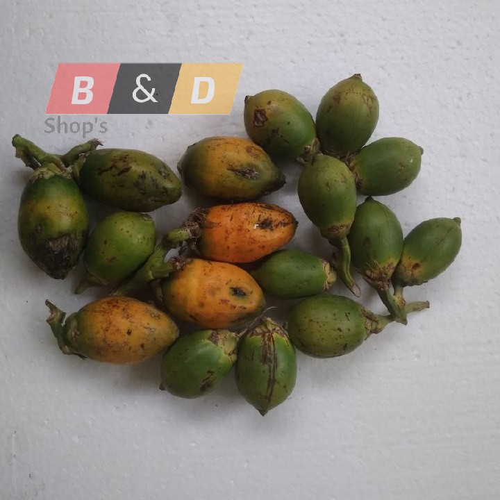 Jual Buah Pinang | Buah Jambe Obat Tradisional Netto 1 Kg. | Shopee ...