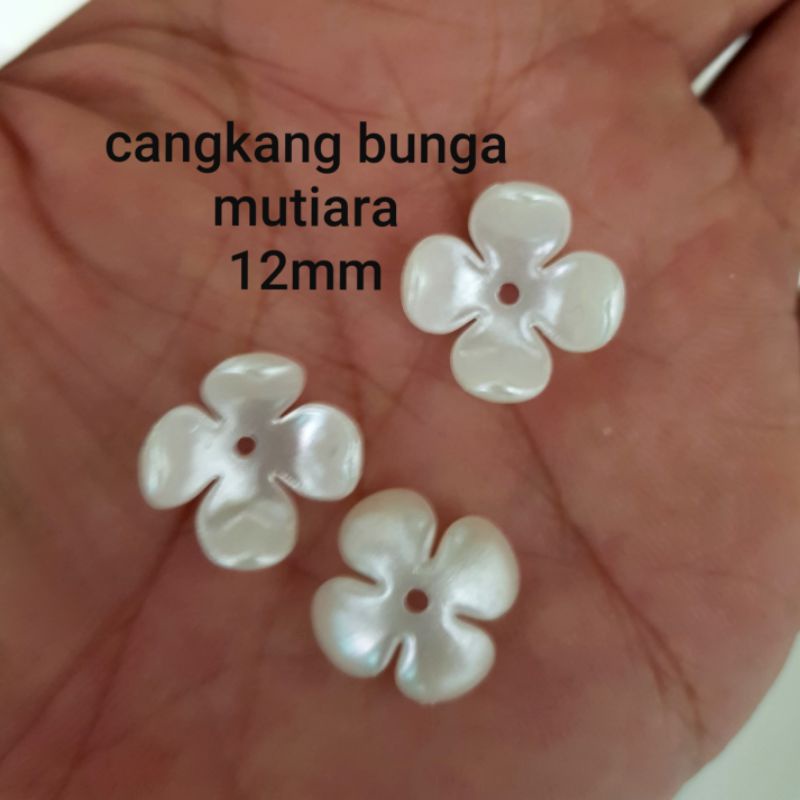Jual Cangkang Bunga Mutiara 100g 12mm | Shopee Indonesia
