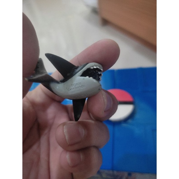 Jual figure pokemon tomy sharpedo | Shopee Indonesia