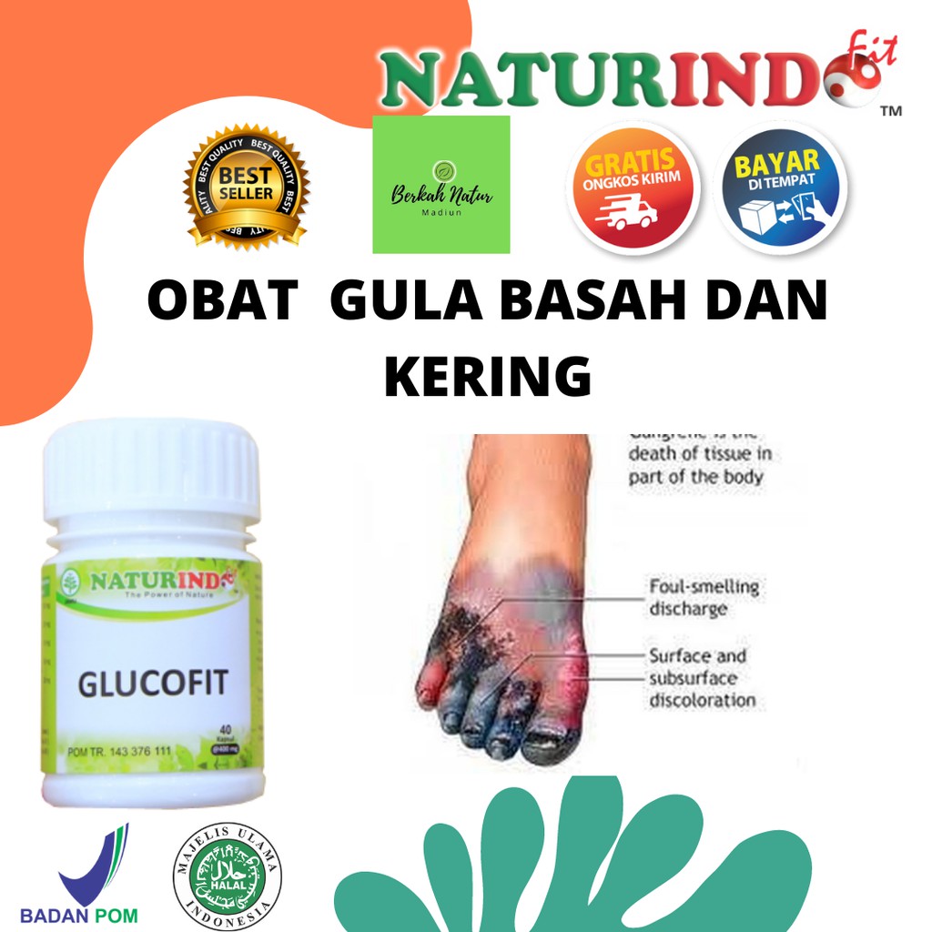 Jual Obat penurun gula darah diabetes militus obat diabet basah kering ...