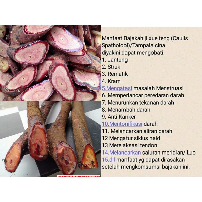 Jual Bajakah Getah Merah (Xijuteng) | Shopee Indonesia