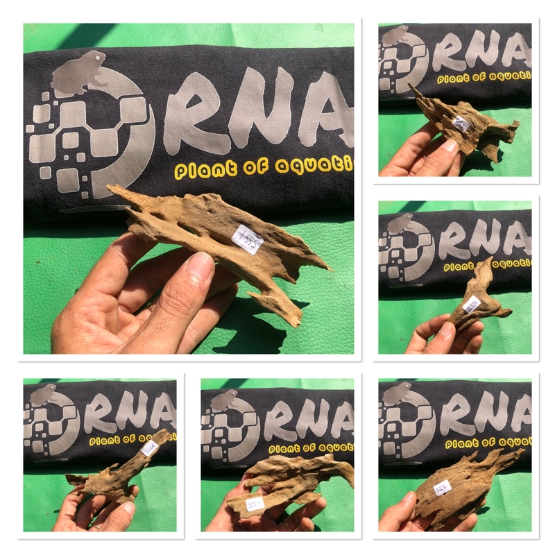 Jual kayu rantek size sss cocok untuk aquascape | Shopee Indonesia