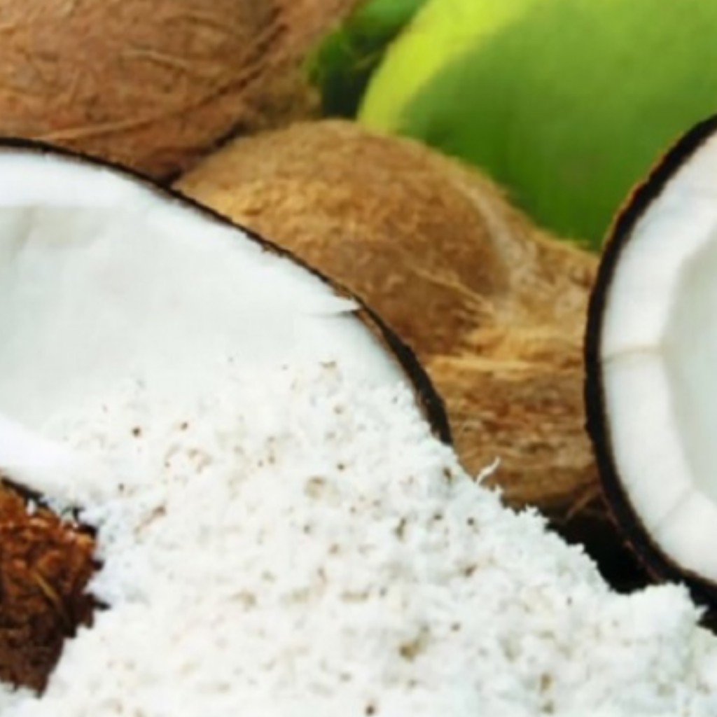 Jual Kelapa Parut Segar Kelapa Utuh Sayur Segar Cikarang Sayur Segar Bekasi Sayur Murah | Shopee ...