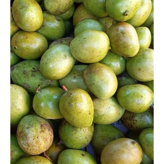 Jual BUAH MANGGA MUDA SUPER GARING DAN FRESH | Shopee Indonesia