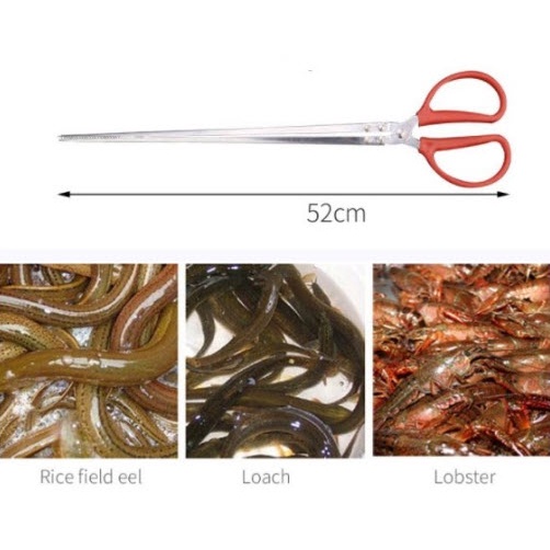 Jual Penjepit Tong Capit belut cacing loach udang lobster crab 52 Cm ...