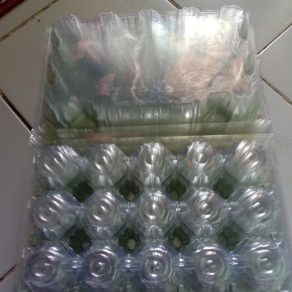 Jual SGS MIKA TELUR ISI 15 Dengan Pengunci | Shopee Indonesia