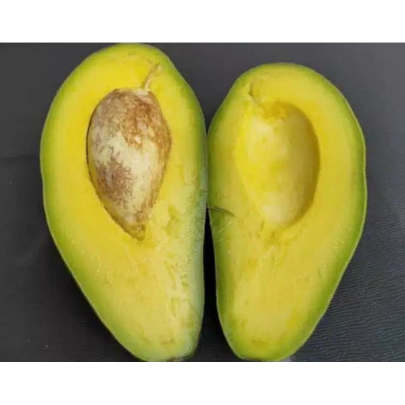 Jual Alpukat Mentega Manis 1 Kg Fresh | Shopee Indonesia