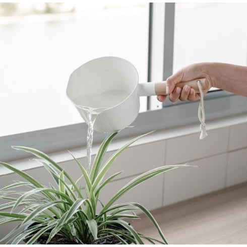 Jual Gayung Putih Wooden Scoop Estetik dengan Handle Kayu | Shopee ...