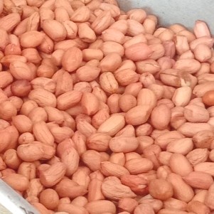 Jual Kacang Tanah Mentah 1Kg | 1000 Gram | Kualitas Bagus | Import Dari ...