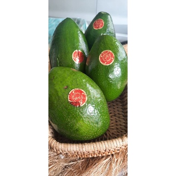 Jual ALPUKAT PLUWANG/ALPUKAT SUPER JUMBO/ALPUKAT MENTEGA | Shopee Indonesia