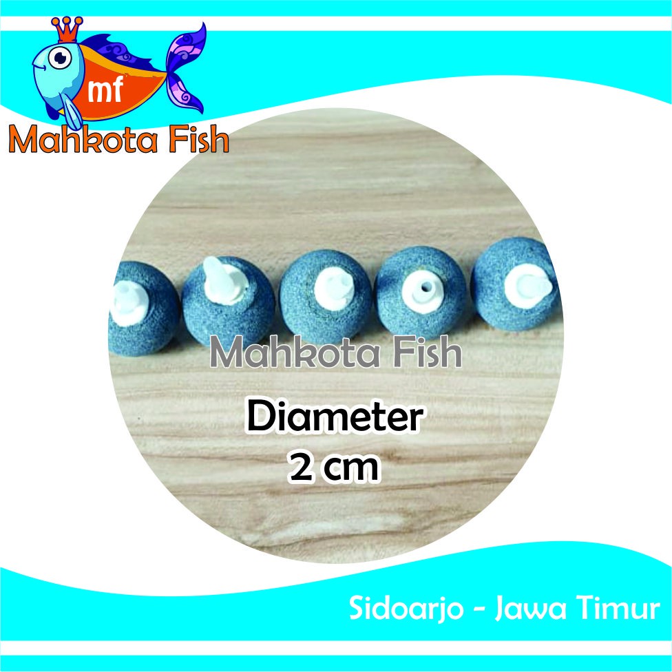 Jual Batu Aerator BULAT 2CM | Batu Gelembung | Batu Aerasi | Airstone ...