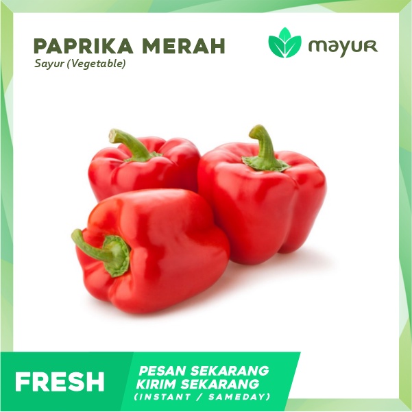 Jual Paprika Merah Segar (1 pcs) | Shopee Indonesia