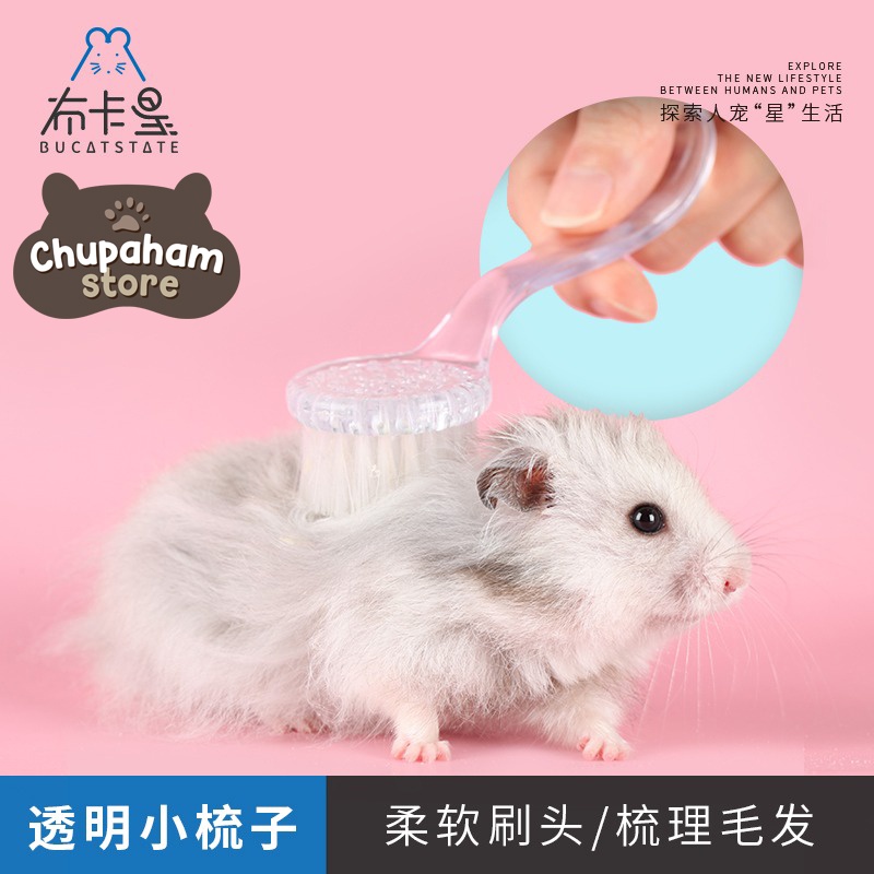 Jual Bucatstate Sisir kecil untuk Hamster / Grooming Rambut Hamster ...