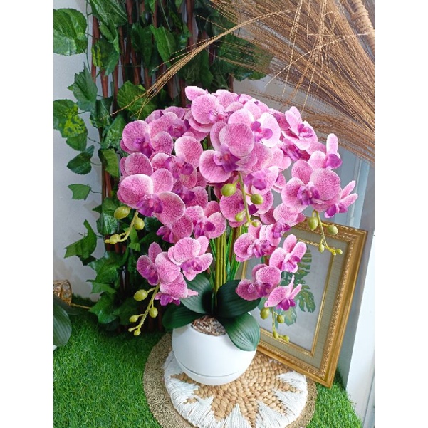 Jual Bunga anggrek cabang 5 super rimbun dengan vas bola | Shopee Indonesia