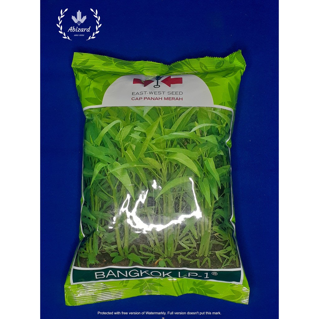 Jual Benih Bibit Kangkung Bangkok LP-1 Kemasan 1kg Original Pack Panah ...
