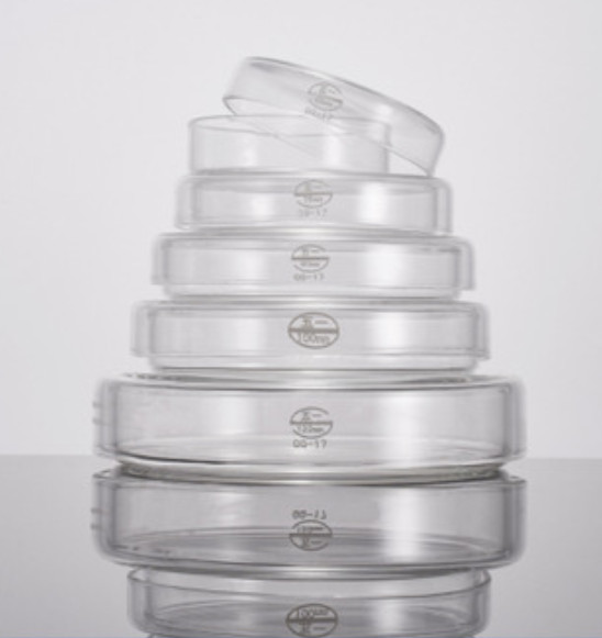 Jual Cawan petri dish kaca, borosilicate glass 100mm | Shopee Indonesia