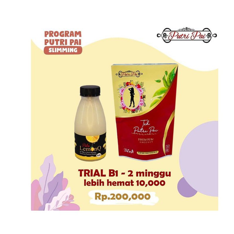 Jual PAKET TRIAL B / 1 LEMONQ 350ML 1 PACK TEH RED PREMIUM BY PUTRI PAI DEPOK SAWANGAN | Shopee ...