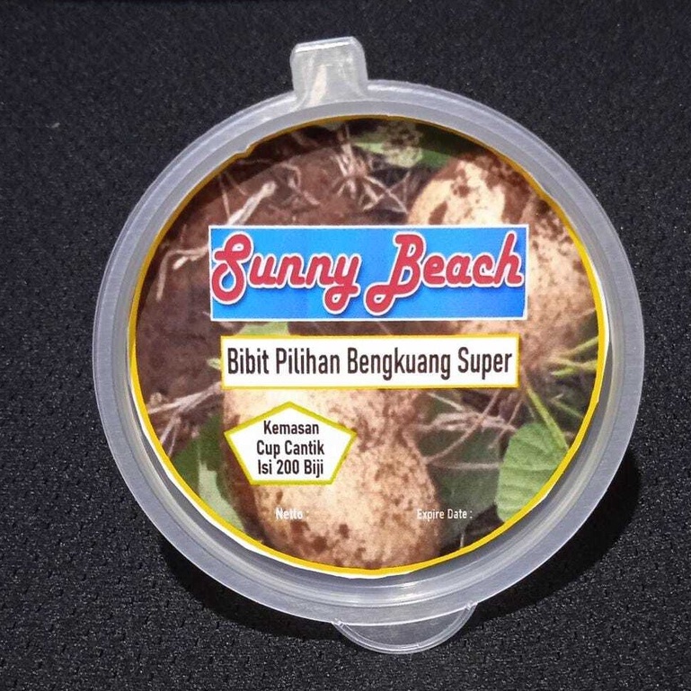Jual Bibit Pilihan Bengkuang Super Kemasan Cup|Benih Bengkoang|Bibit ...