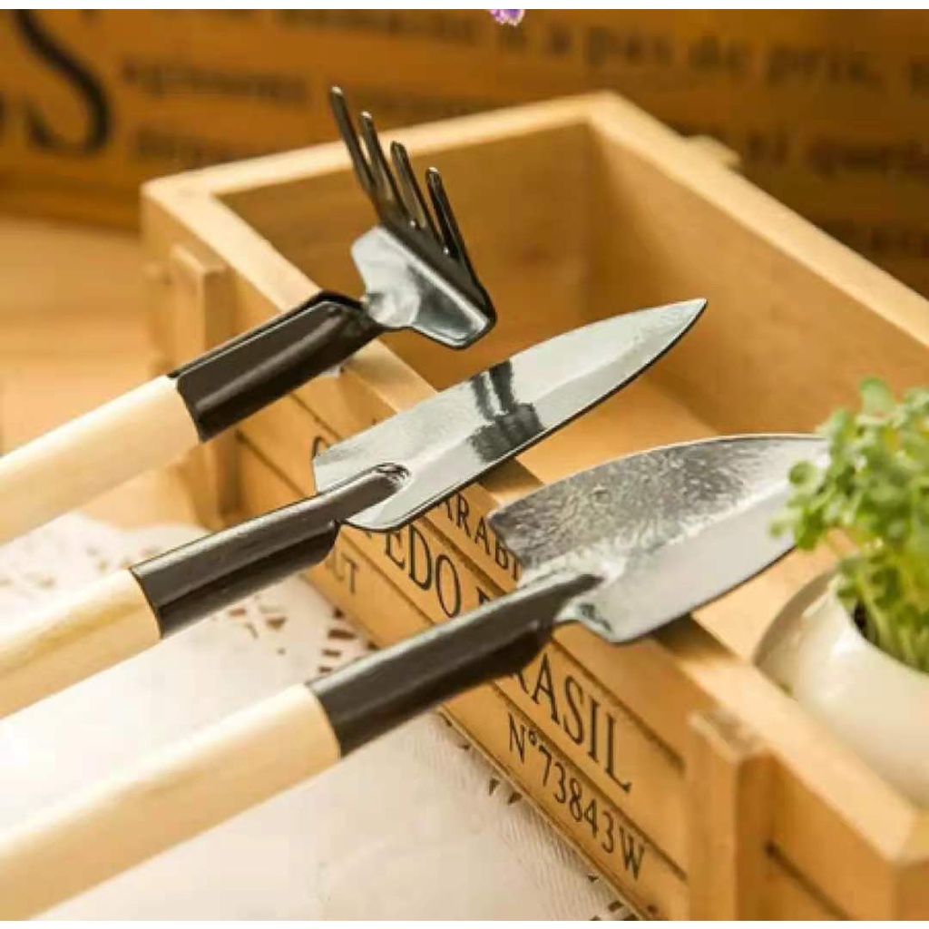Jual Set Sekop Garpu Cangkul Mini 3 in 1 & Alat berkebun Garden Tools ...