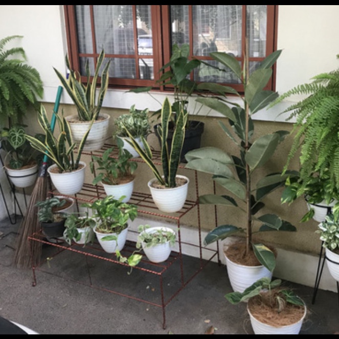 Jual [RESTOCK] Rak Besi Dekorasi Pot Bunga Tanaman Hias 3 Tingkat Awet ...