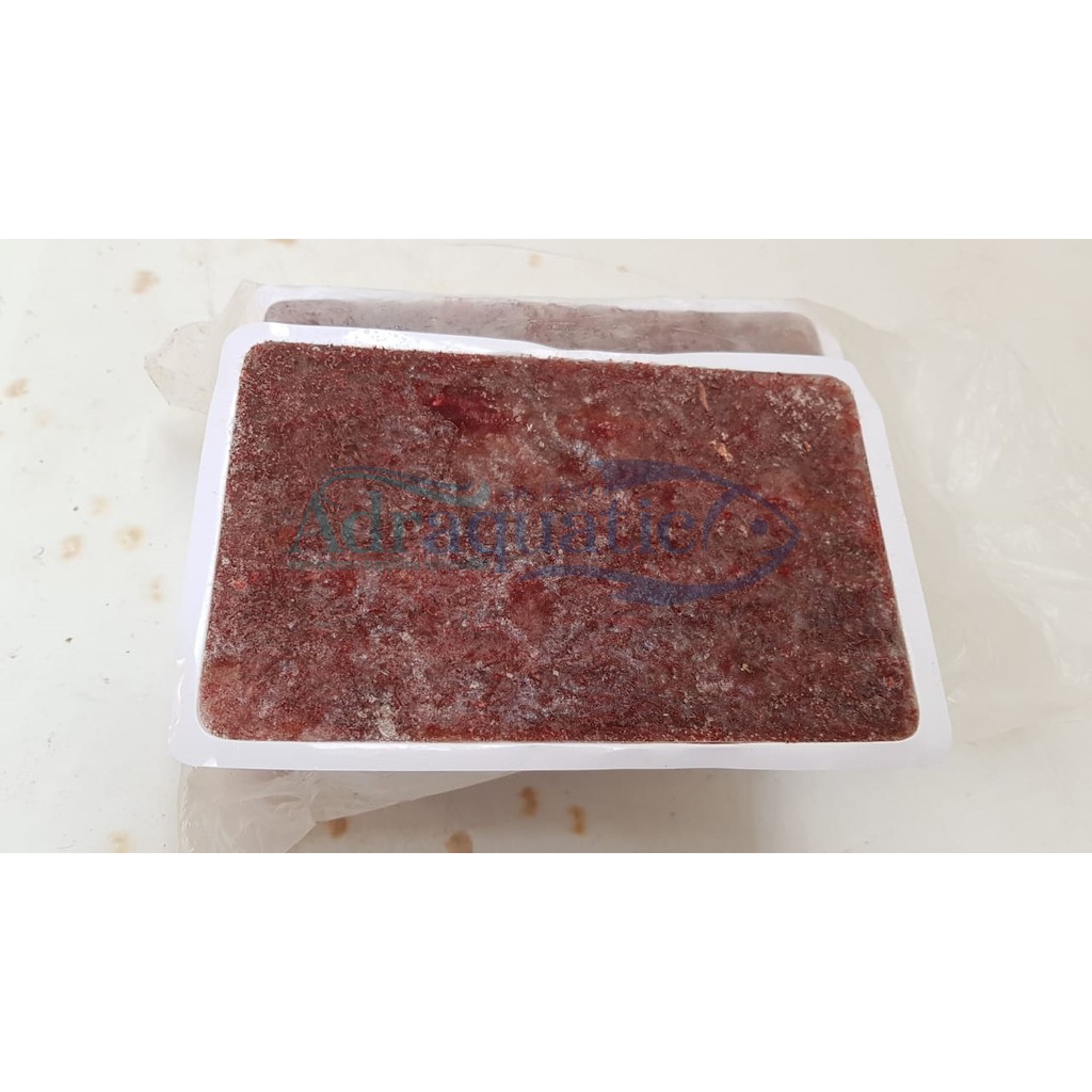 Jual CACING BEKU MEDIUM QUALITY 100GR CABEK ES FROZEN BLOODWORM PAKAN ...