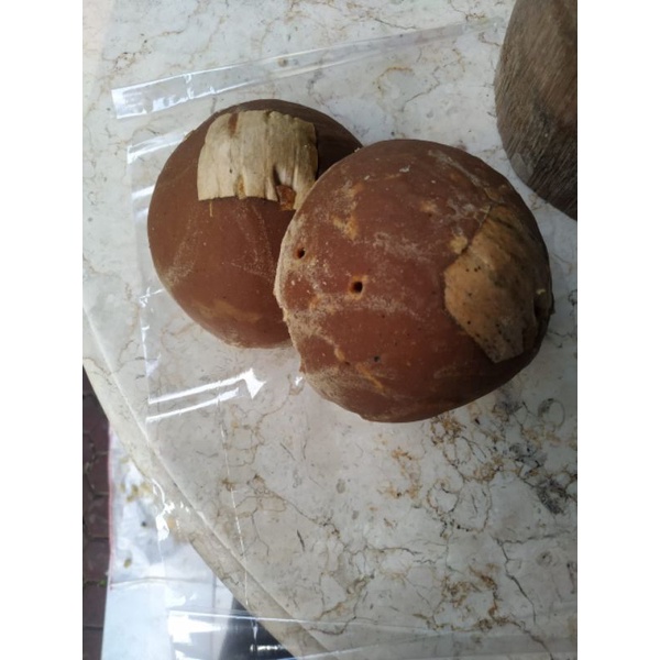 Jual GULA KELAPA DAWAN YANG TERKENAL | Shopee Indonesia