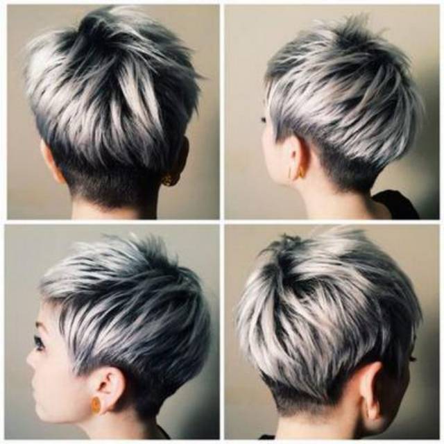 Jual Pewarna Rambut Cat Rambut Silver Abu-Abu | Shopee Indonesia