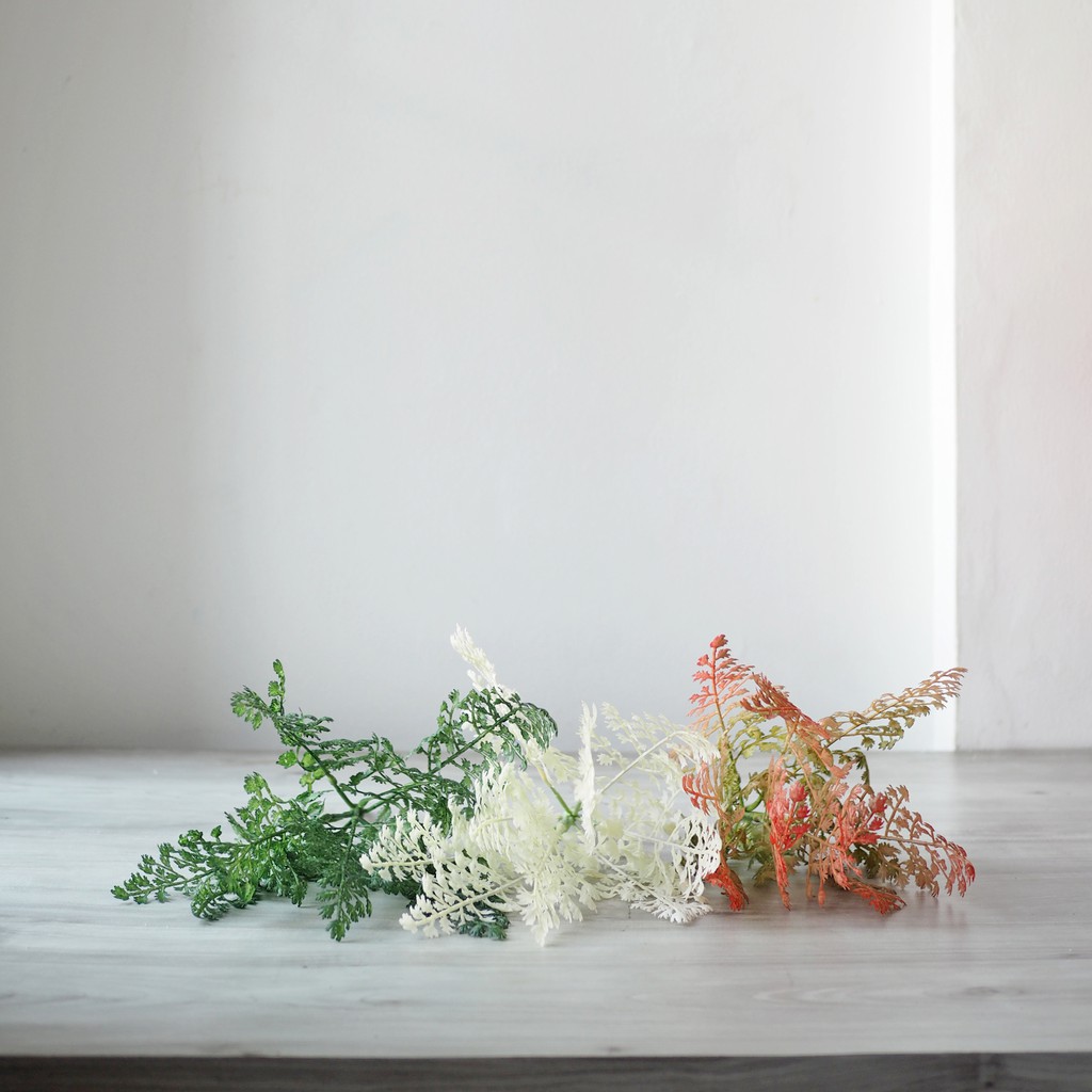 Jual Daun Pakis Bulat Group (D21009) | Shopee Indonesia