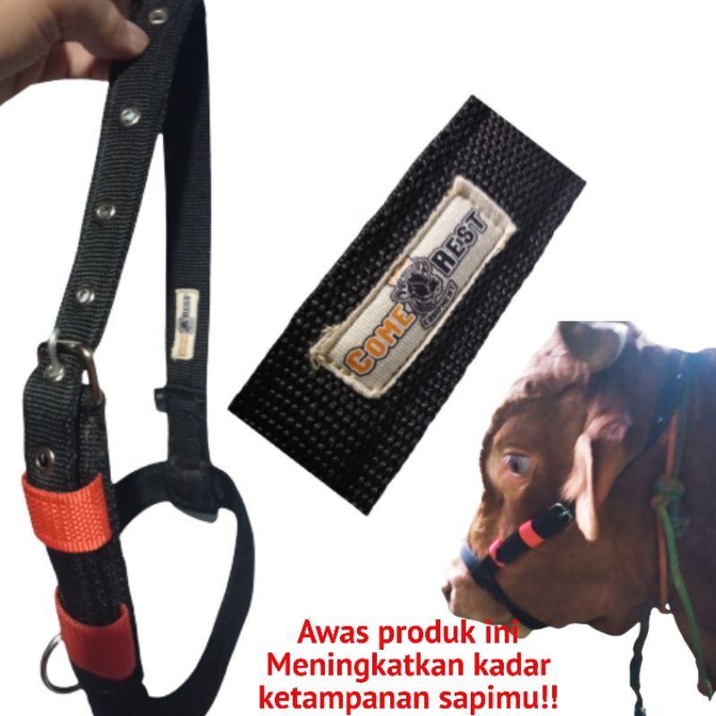 Jual Head Halter Sapi Warna | Shopee Indonesia